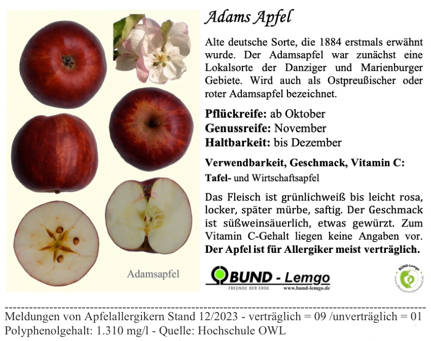 BUND Lemgo - Homepage